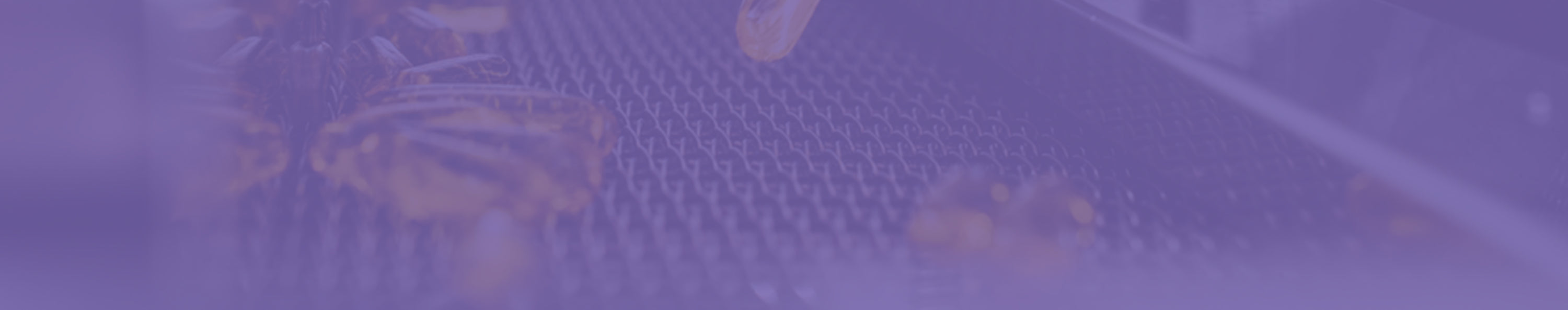 Biowell Labs - Services